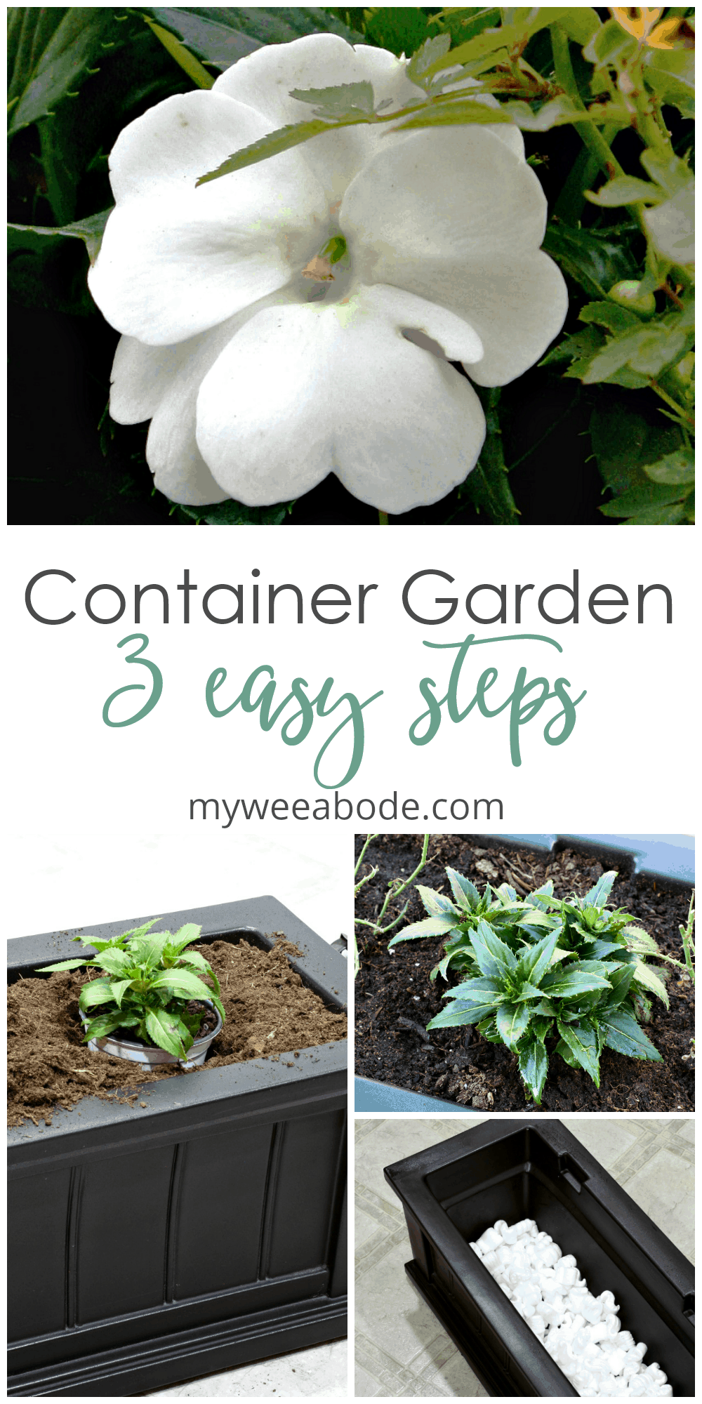 3 Easy Steps to Create a Container Garden