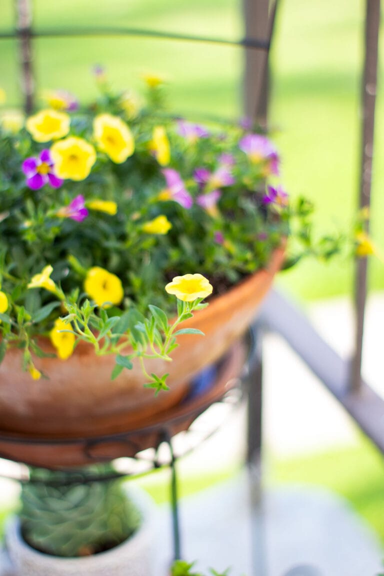 How to Refresh Your Apartment Patio for Spring