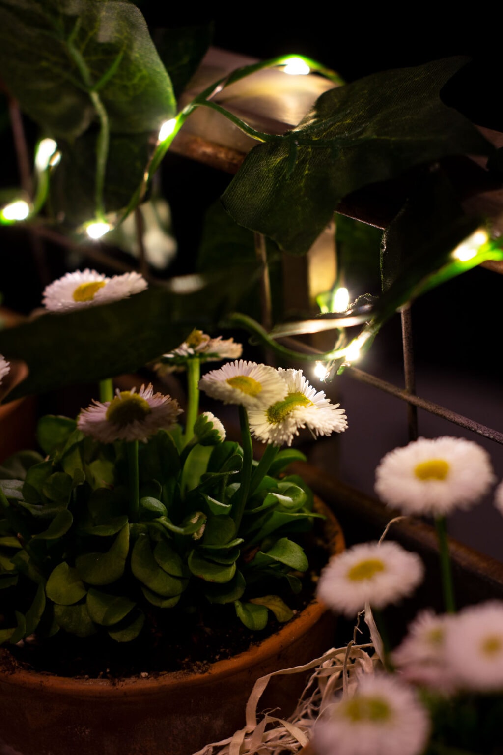 How to Refresh Your Apartment Patio for Spring