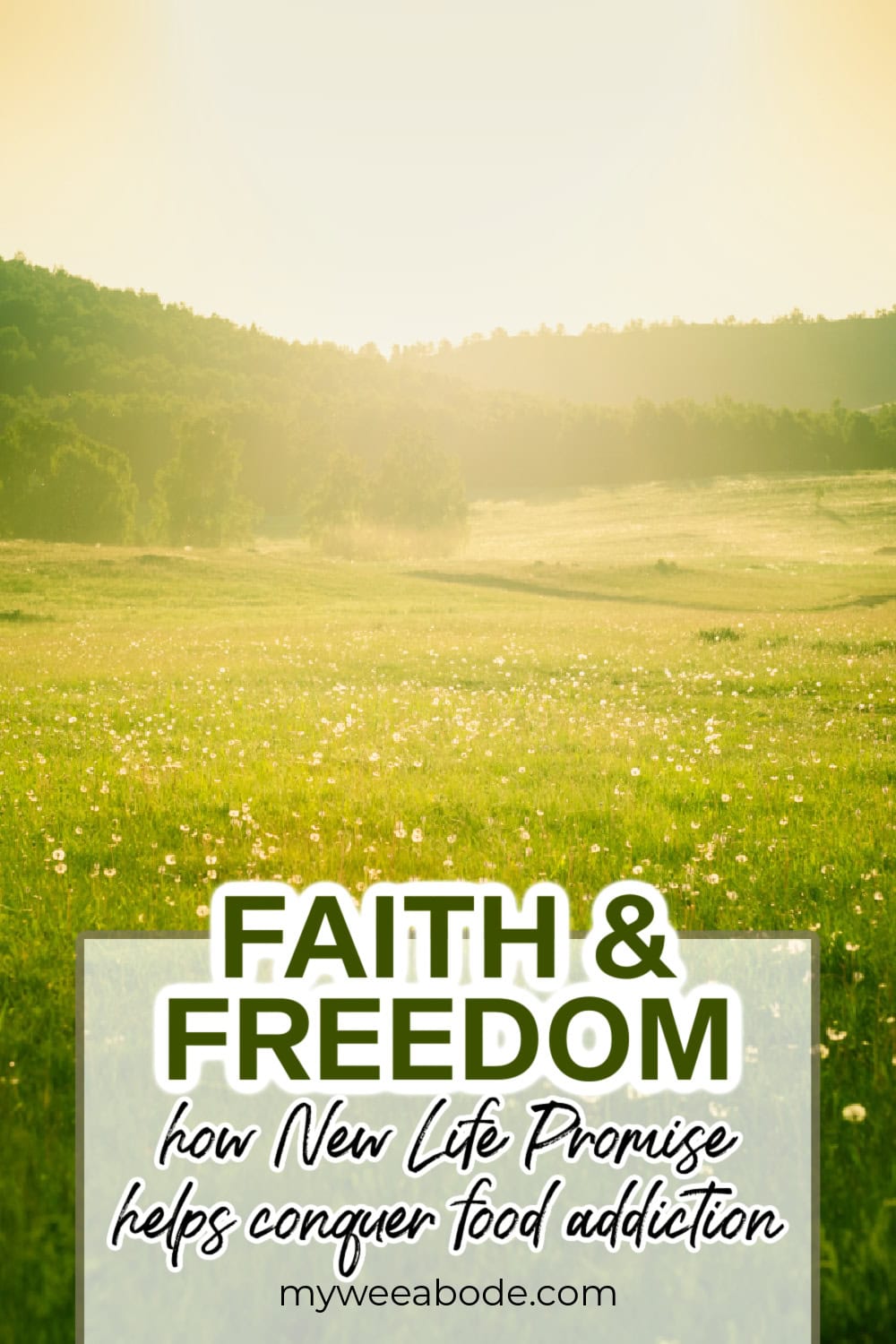 Faith and Freedom: How New Life Promise Helps Conquer Food Idolatry